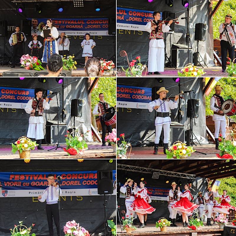 Festivalul-Concurs al Viorii cu Goarnă „Dorel Codoban” - AlesdOnline